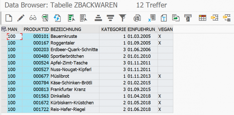 Programmieren Mit Sap Abap Teil 2 Das Abap Dictionary In Der Praxis